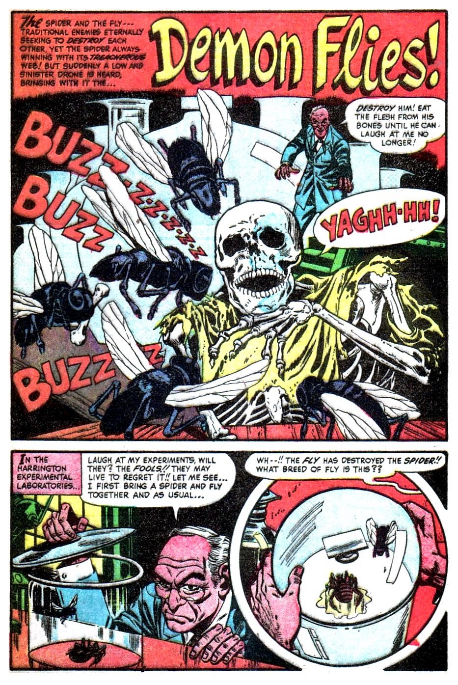 THE HORRORS OF IT ALL: Demon Flies!