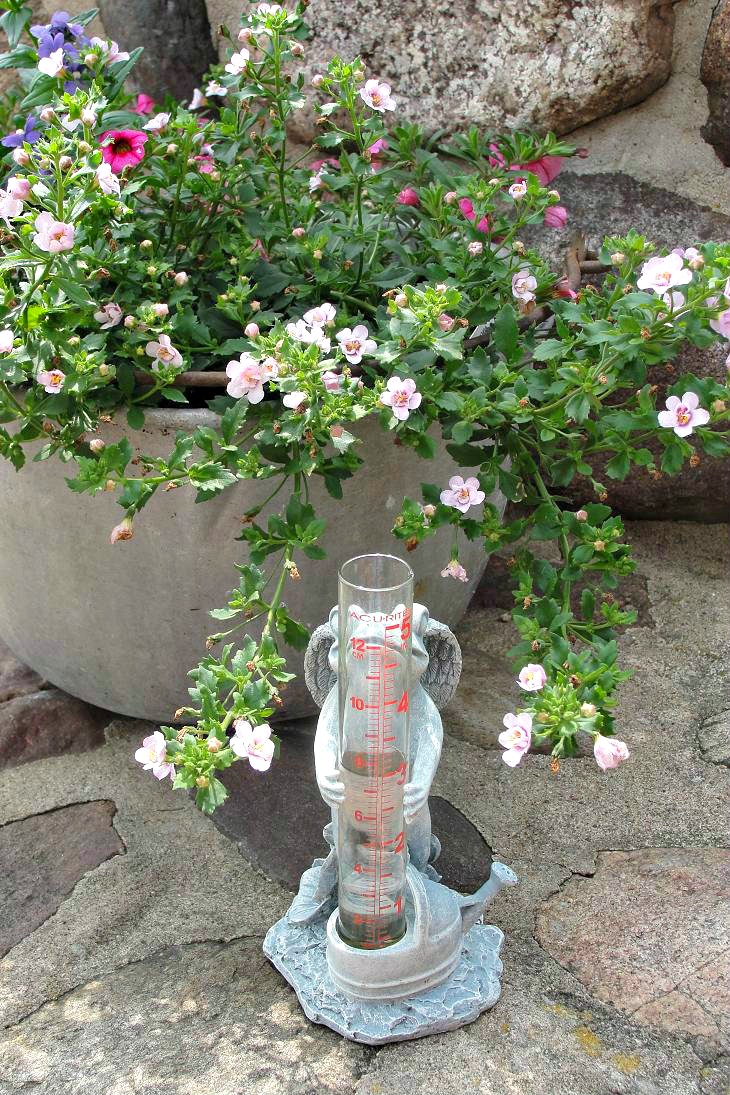 The Cranky Crow: The De-nesting