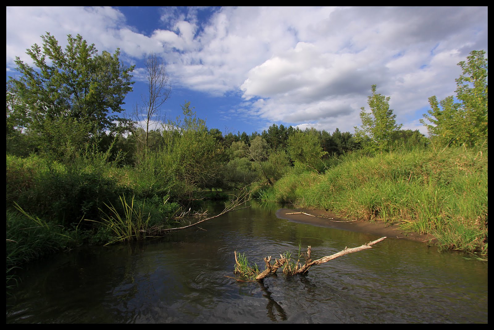 arnika: Na brzegu rzeki... rzeka Warta, Załącze Wielkie | On the bank ...