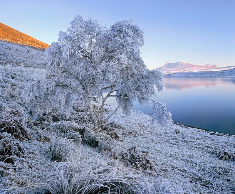 Pérola de Cultura: Chegou o inverno