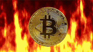 Gif Gifs Gif: Bitcoin Gifs