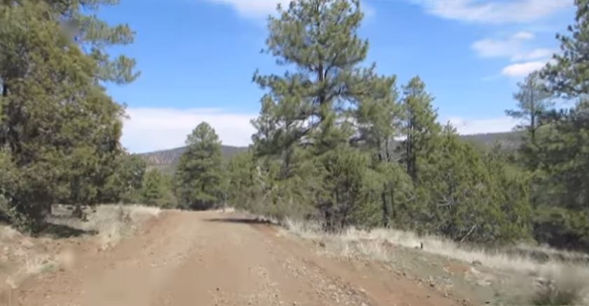 Search for the Mogollon Monster