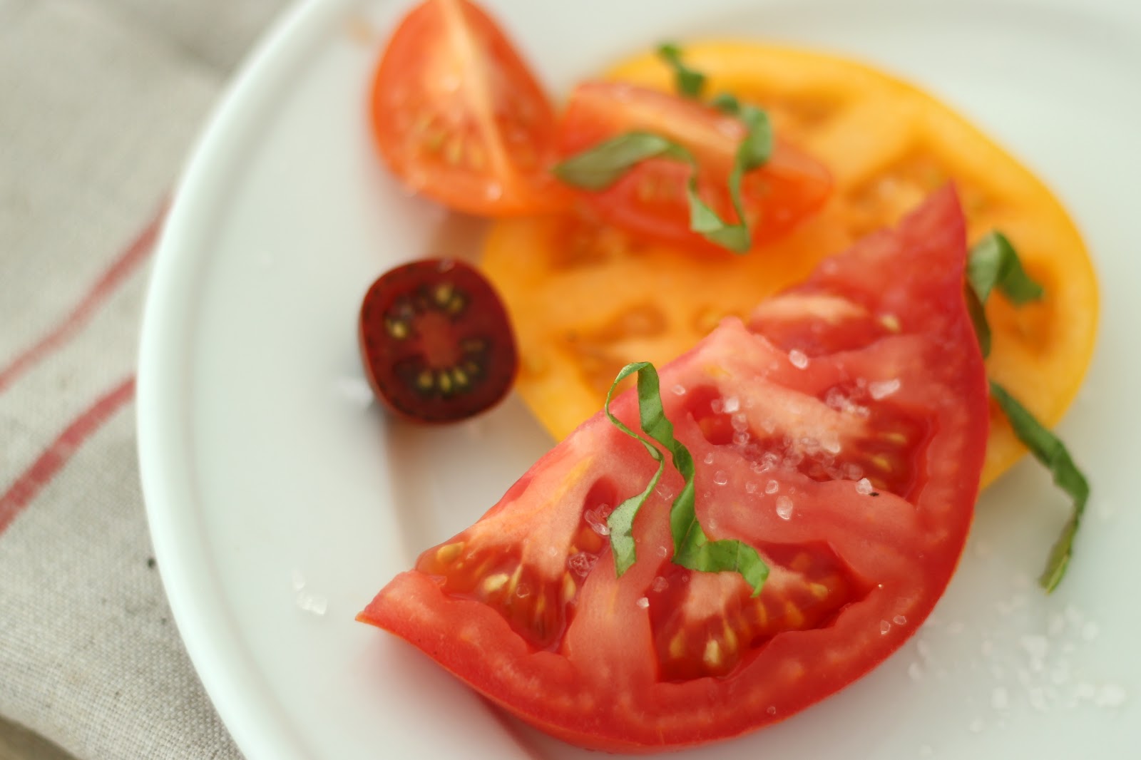 Celebrating Tomato Season | Tomato Tasting Party – Jenny Steffens Hobick