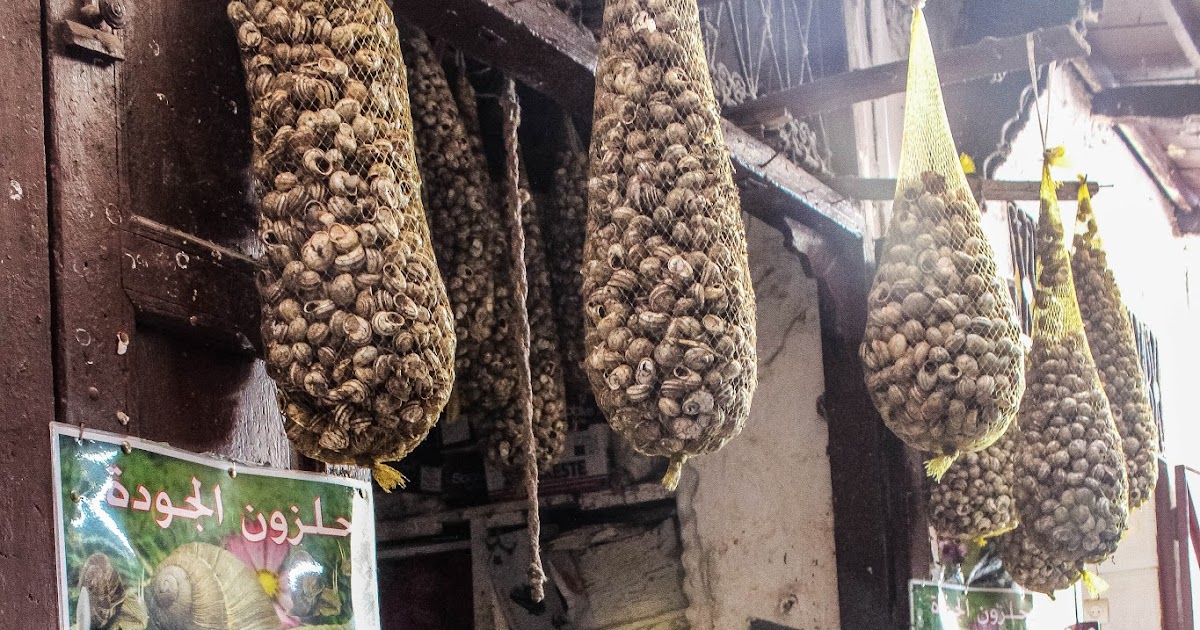 Cannundrums: Snail Soup in Morocco