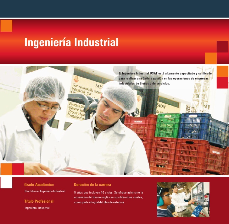 Ingeniería Industrial