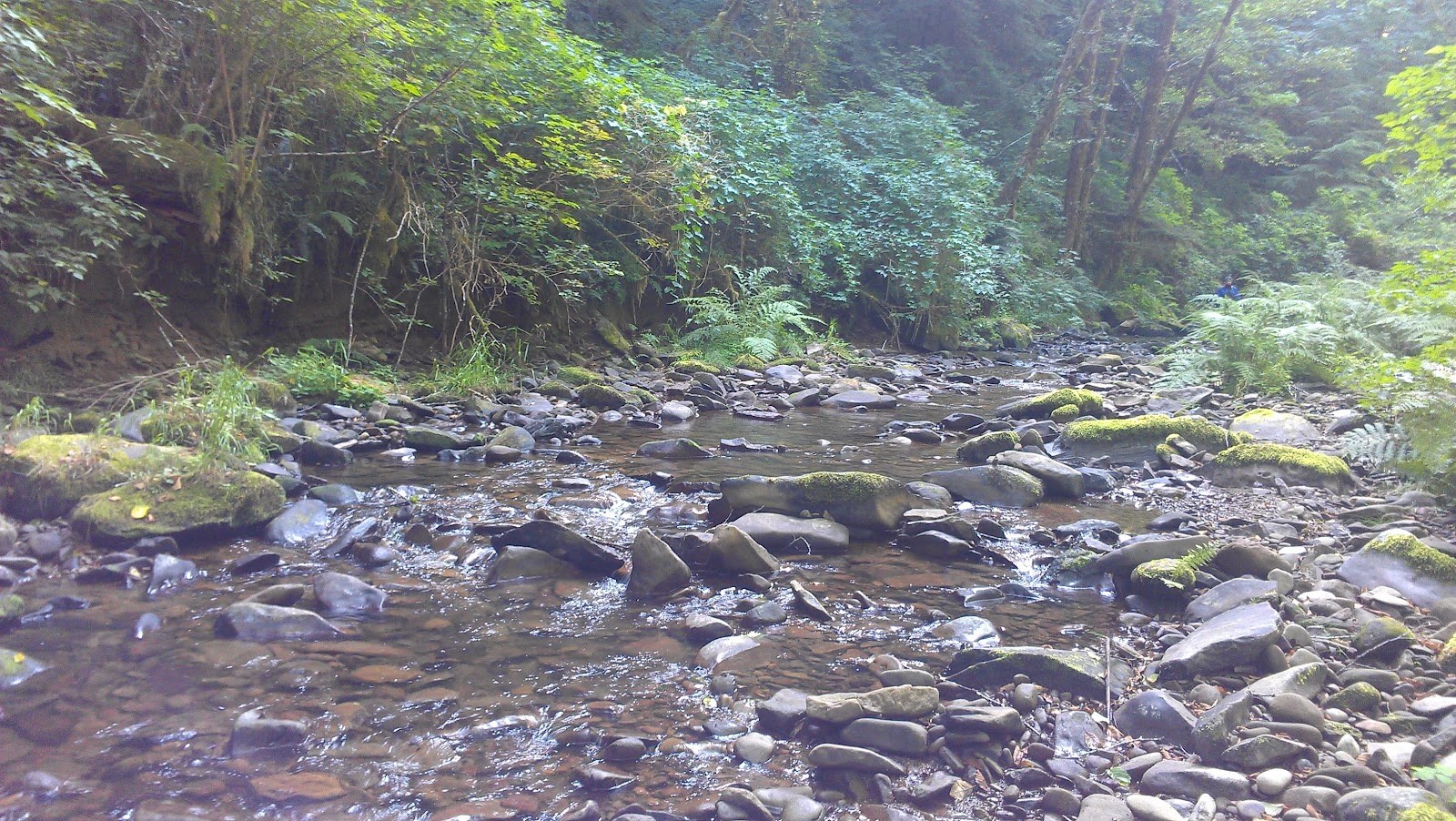 A Song of Fish and Sand - Summer 2012 Internship with ODFW