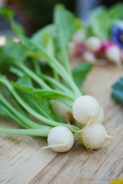 Marlin Salazar Food Styling and Photography: Micro Vegetables