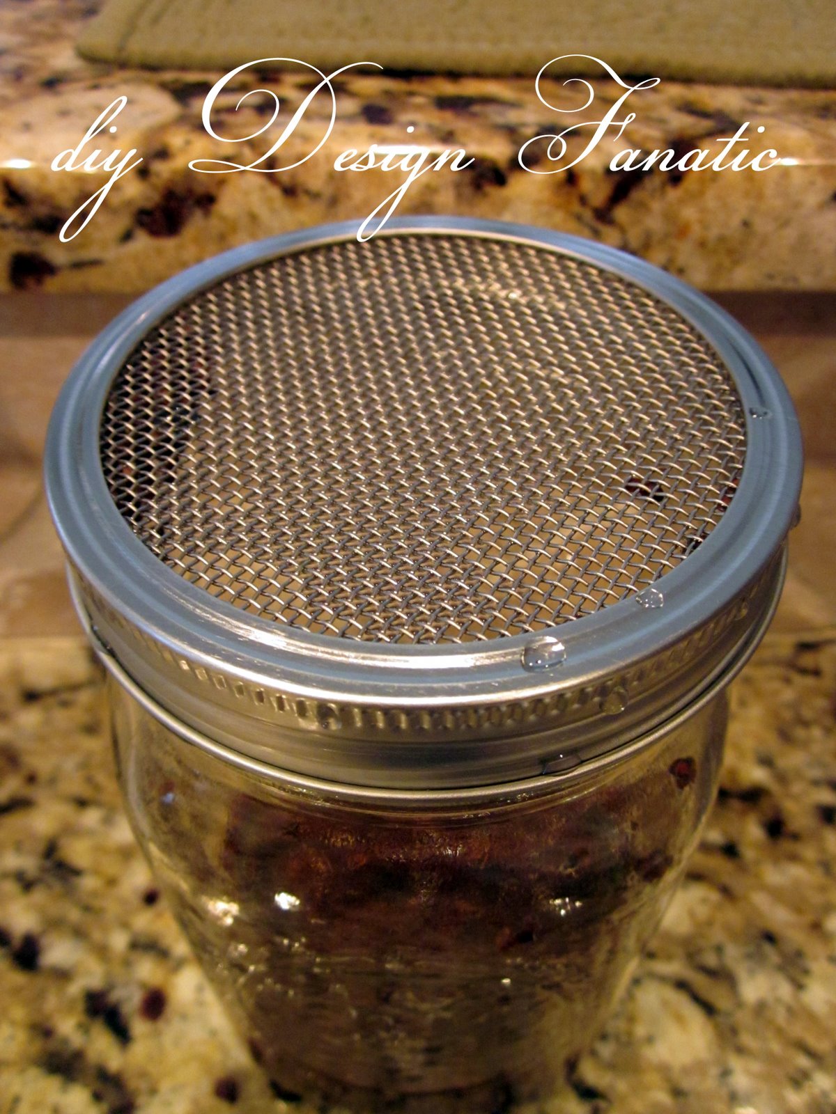 diy Design Fanatic: DIY: Sprout Your Own Seeds