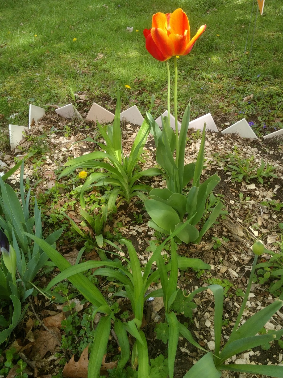 Green And Frugal Home Reuse Tiles For Garden Border