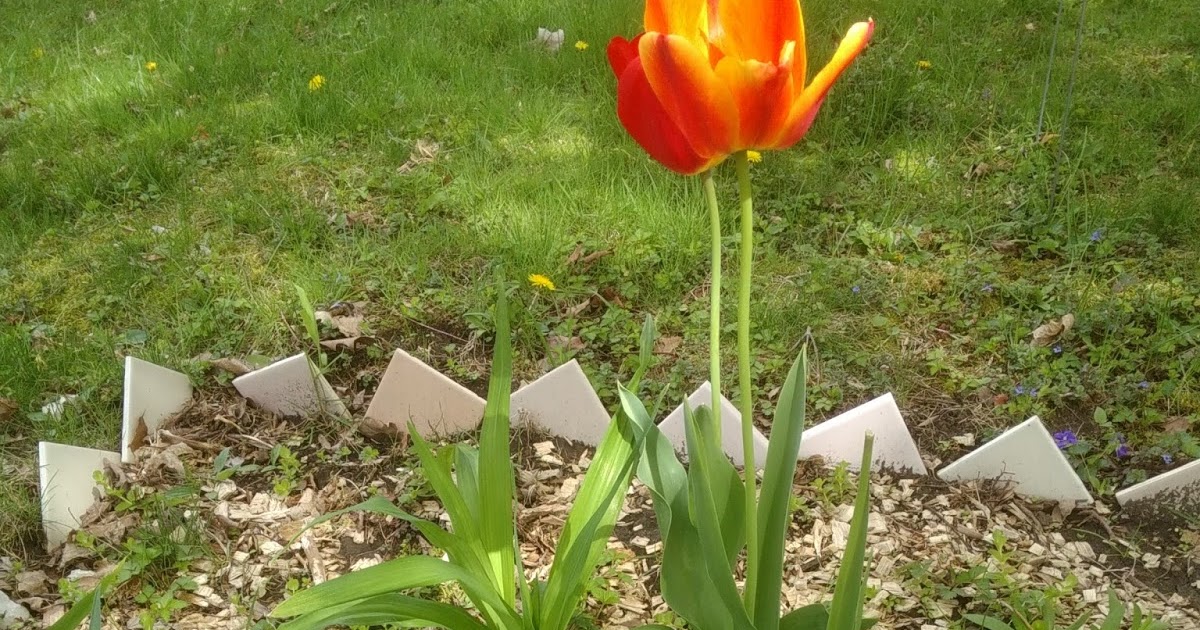 Green And Frugal Home Reuse Tiles For Garden Border