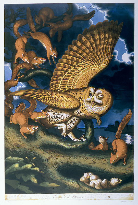 Surrealism and Visionary art: Walton Ford