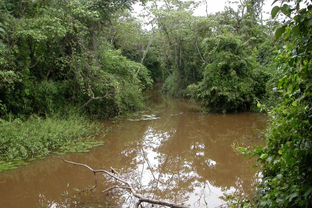 Roboré es Turismo: Los invitamos a visitar Roboré...
