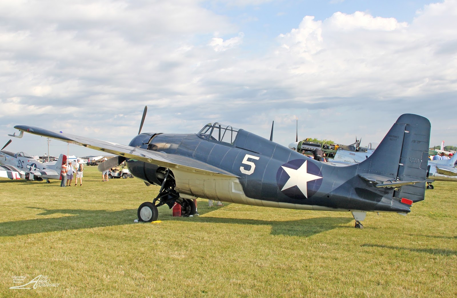 The Aero Experience: EAA AirVenture Oshkosh 2016: Warbirds - Grumman Cats