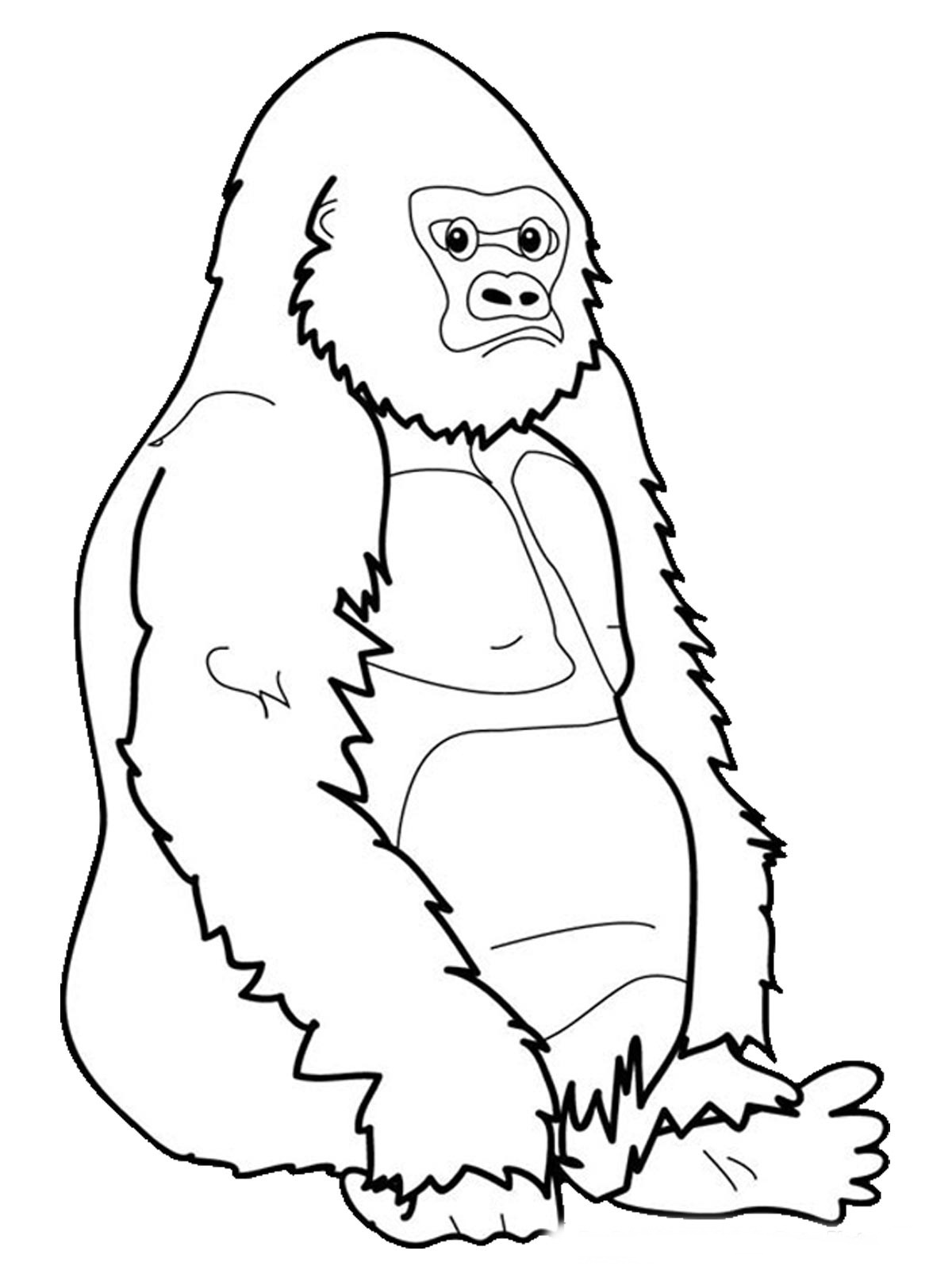 Ape Coloring Pages - Kidsuki