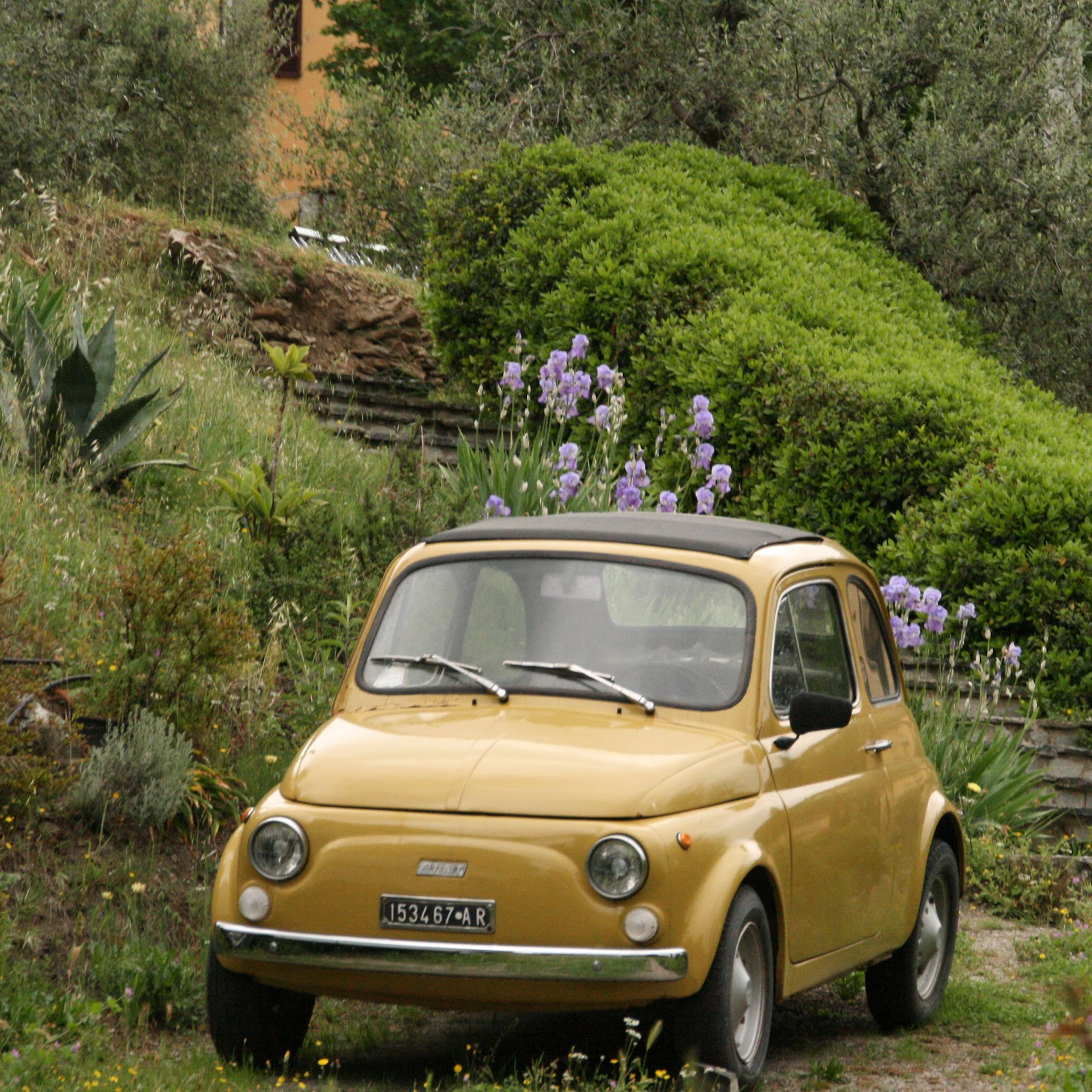 Inside the Pomegranate: fiats, fiats everywhere!
