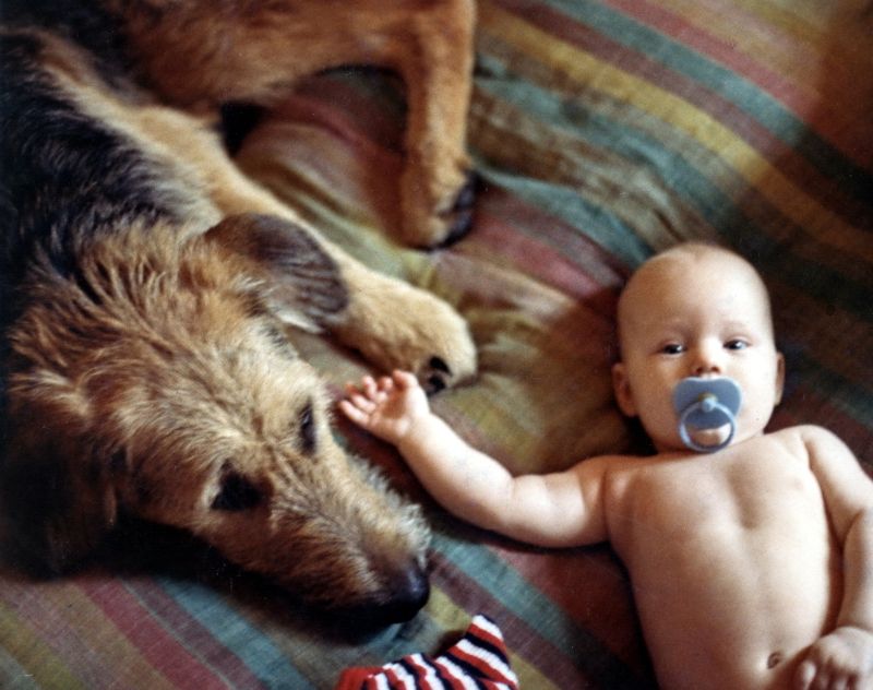 Beautiful Life of a German Dog in the 1970s Through Lovely Photos ...