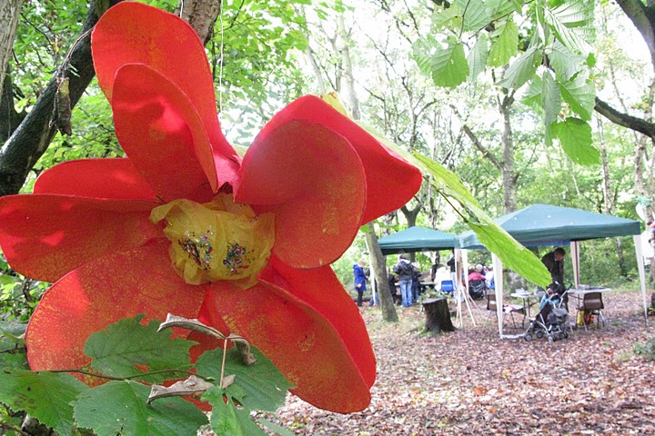 Halewood Arts Association: Who We Are