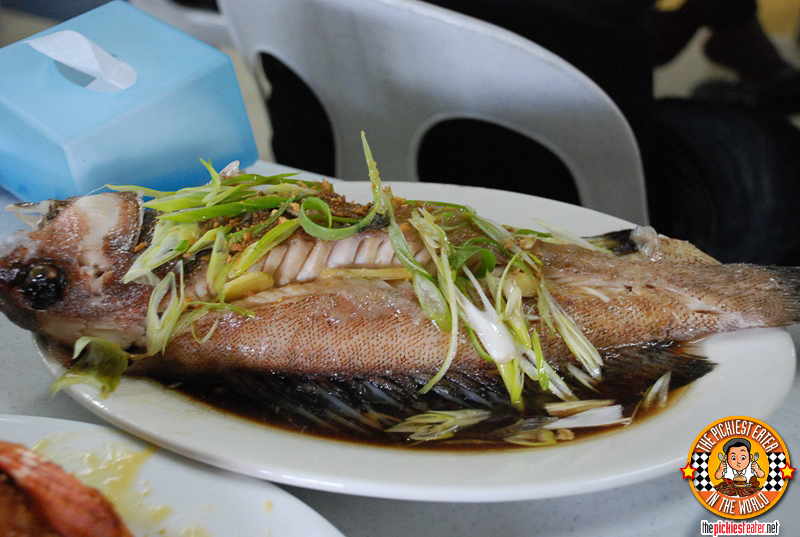 THE PICKIEST EATER IN THE WORLD: HOLD YOUR BREATH, WE'RE GOING TO DAMPA!