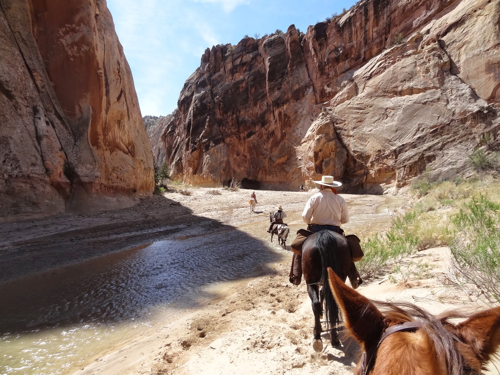 Dream Packer Trail Adventures: Paria River to Lower Hackberry Canyon, Utah