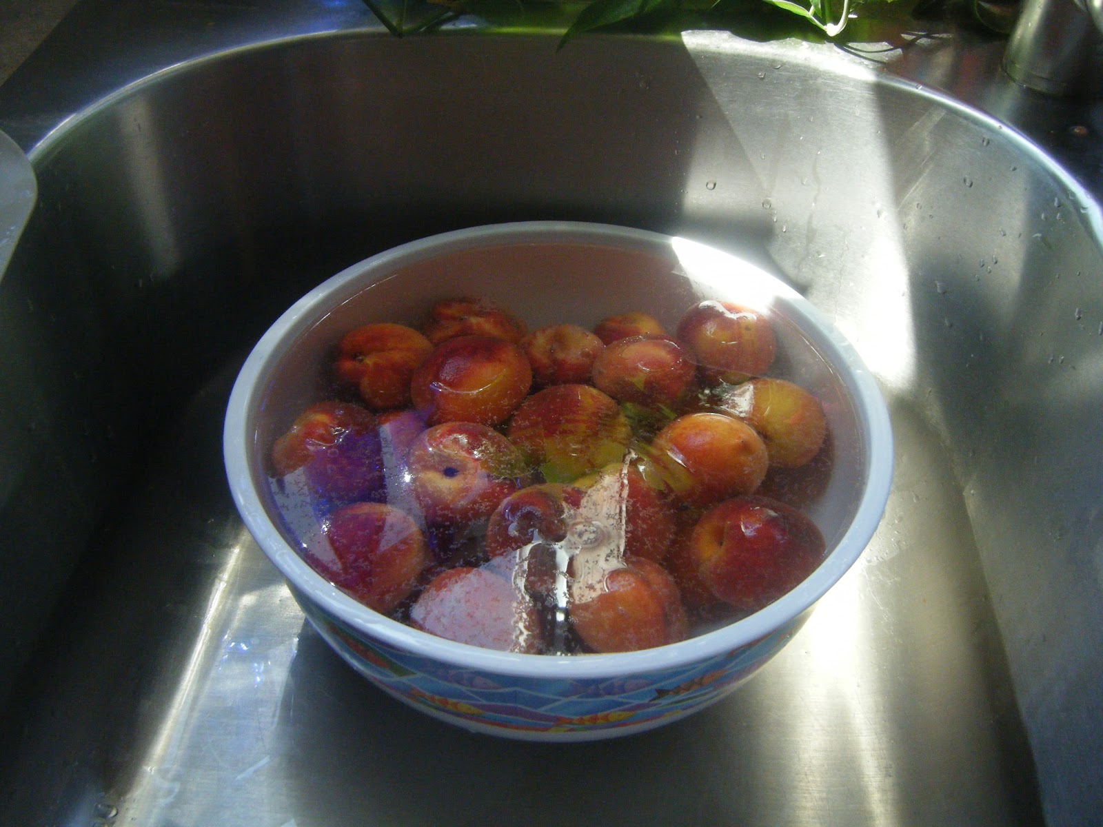 Windy Acres Diary: Peach Jam