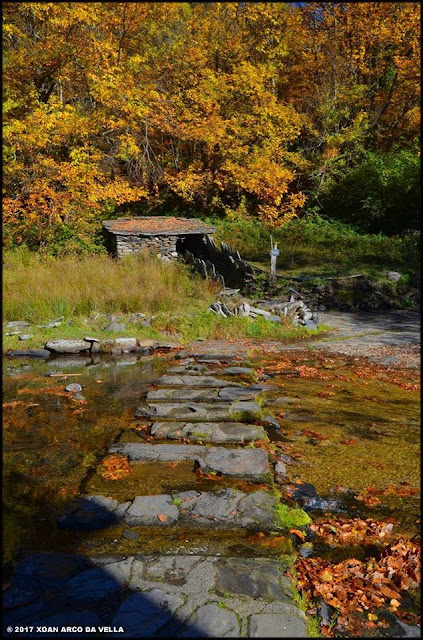 XOAN ARCO DA VELLA: PASOS DA SEARA - A SEARA - RÍO SELMO - QUIROGA