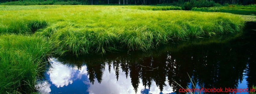 FACEBOOK COVER: Nature Facebook Covers