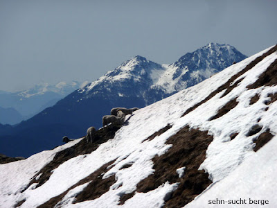 Mutspitze, 2295 m