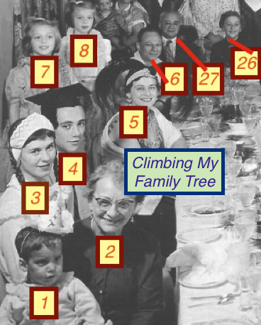 Climbing My Family Tree: Farkas Family Tree