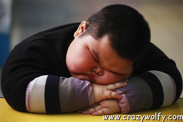Paranormal And Strange World: Lu Zhihao - World's Fattest Kid
