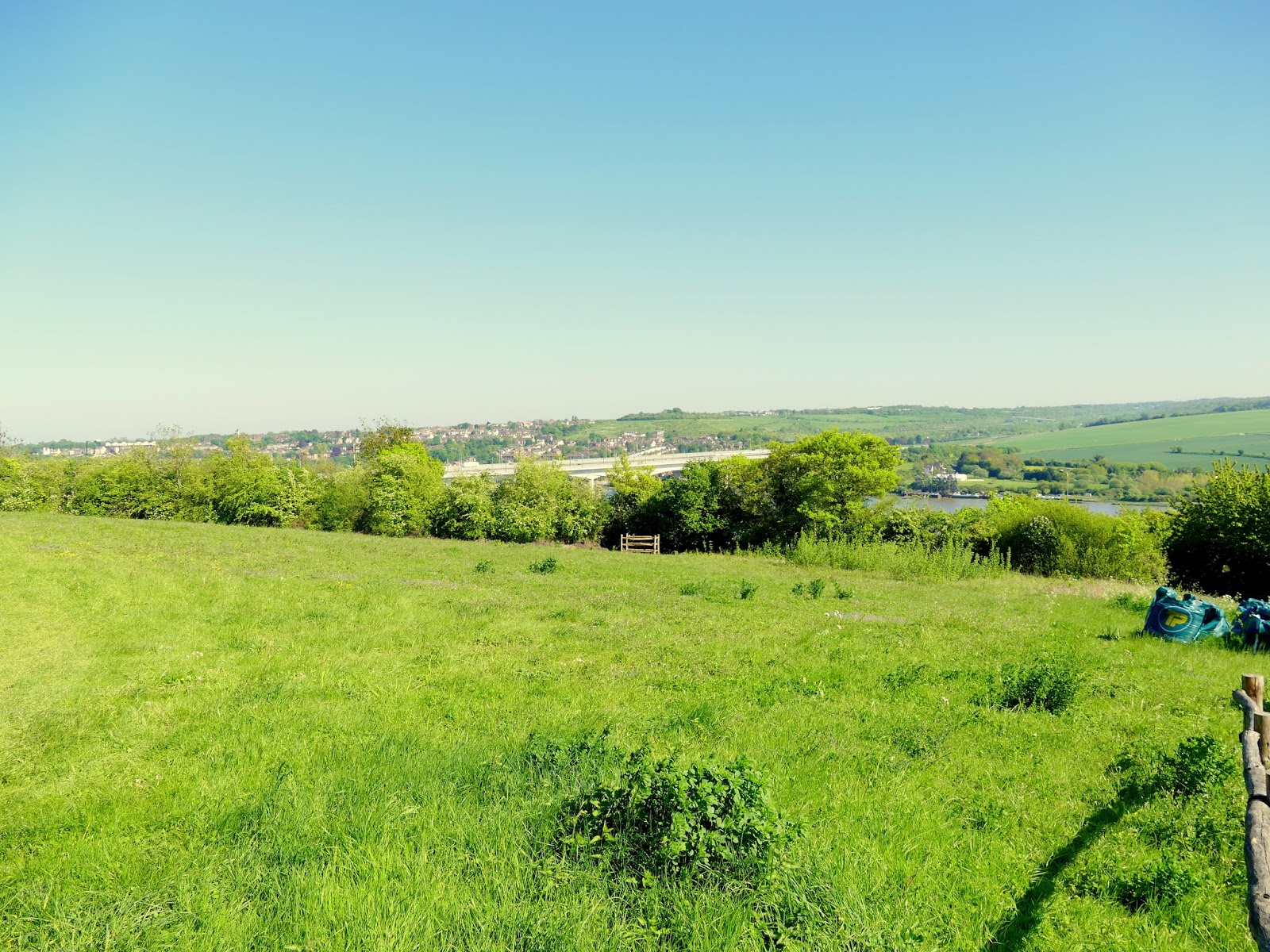Peter Lovett's ramblings : Ranscombe farm nature reserve: butterfly and ...
