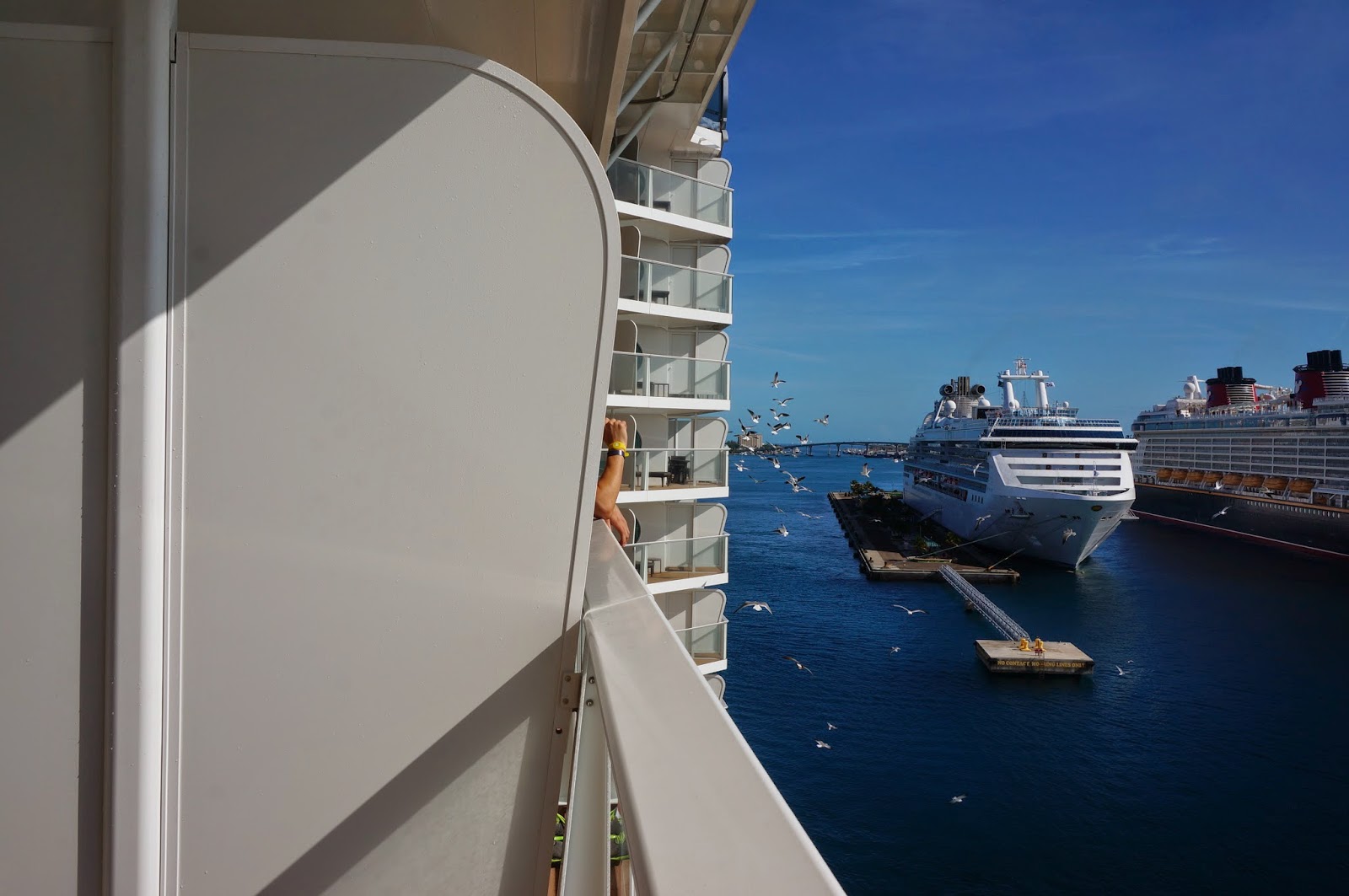 Making Memories: Quantum of the Seas Balcony Safety Locks