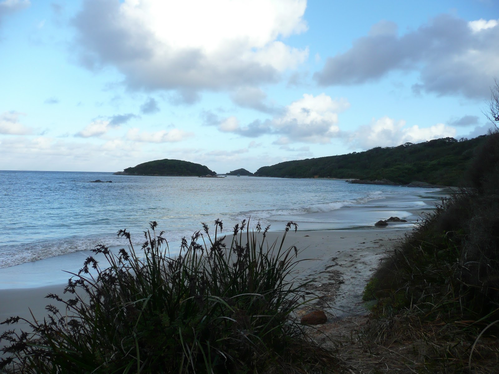 Nele & Andrew Around Oz: Cosy Corner Campground, WA (between Albany ...