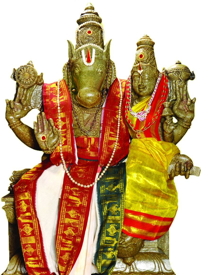 Danvantri Peedam - Universal Peedam: Sri Lakshmi Hayagriva homam at ...