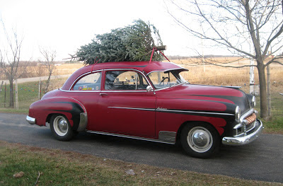 Willow Homestead: Engine Specs and Emotional Strings Included