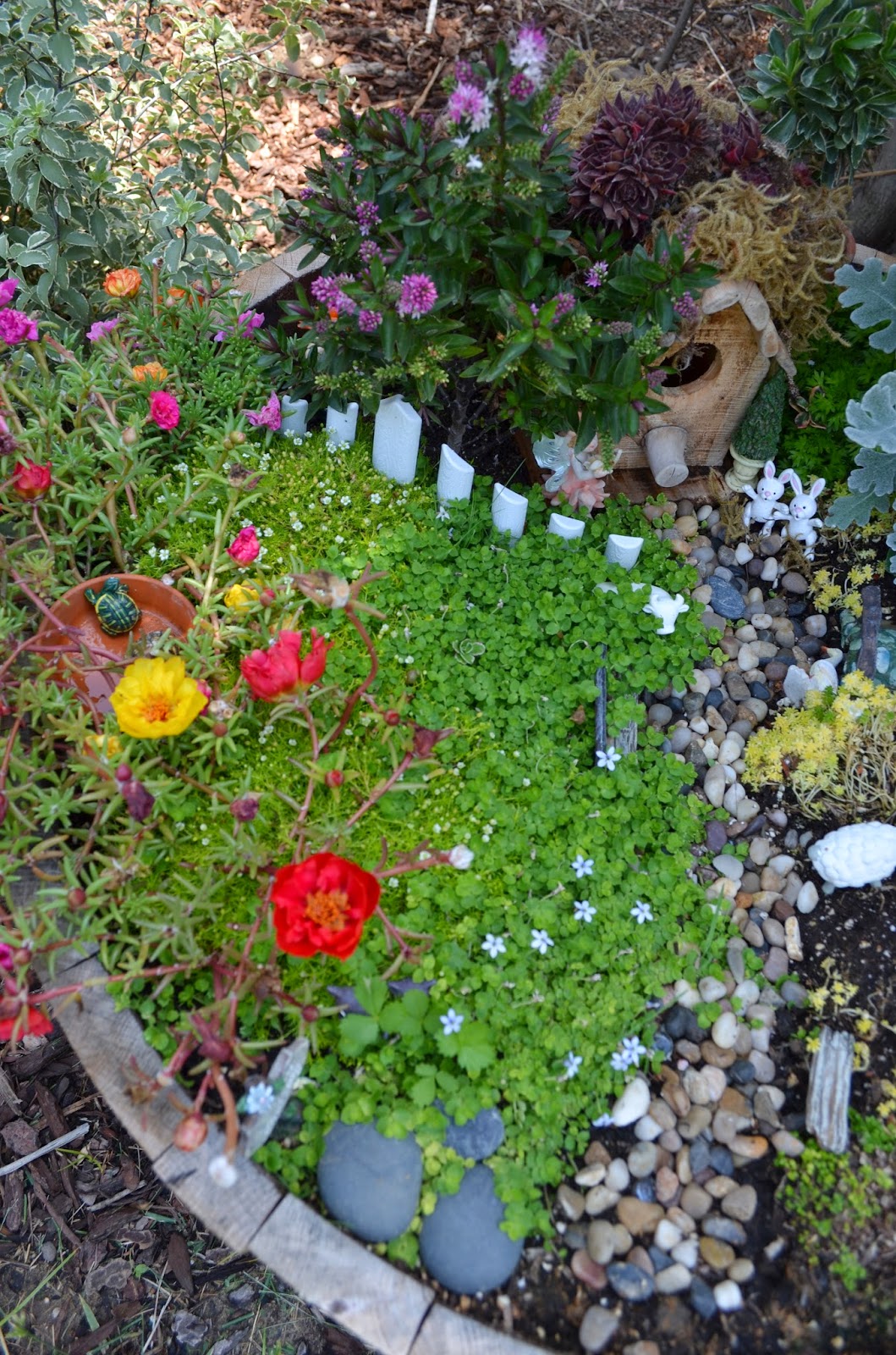 Entertaining From an Ethnic Indian Kitchen: Miniature garden