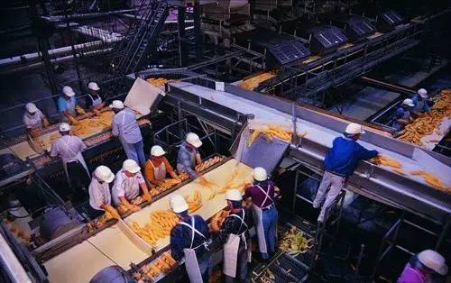 Do you Know Application of Maize to Maize Processing Industrial?