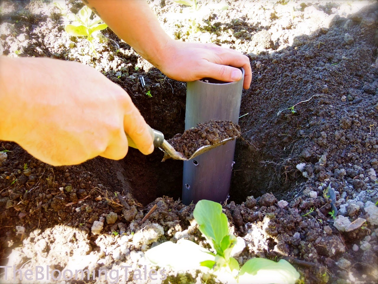 TheBloomingTales: Make a Worm Tunnel