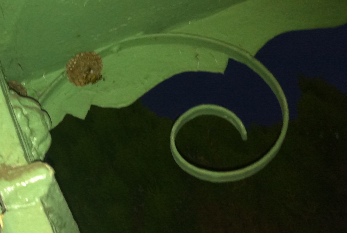 Journey to Fabulous at 40!: WASPY House Guests