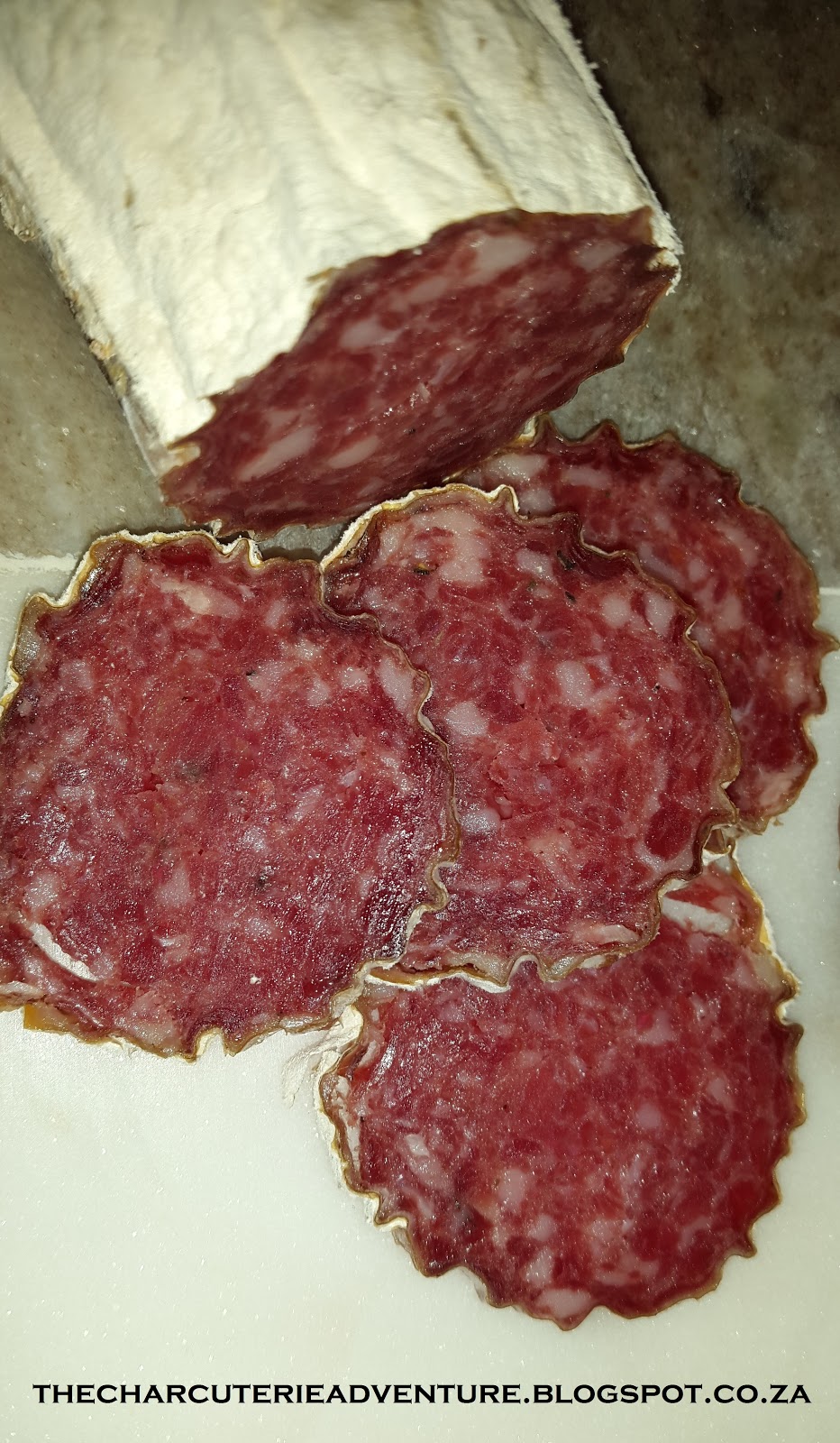 The Charcuterie Adventure: Salami