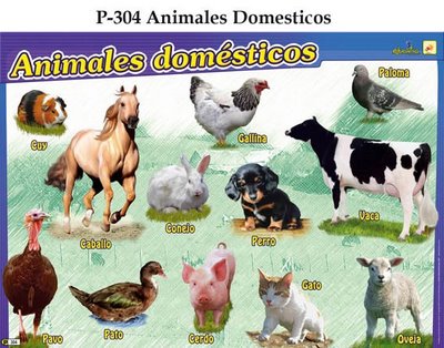 animales domestico