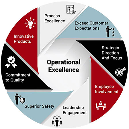 6 Best Reasons You Should Opt for Operational Excellence System ...