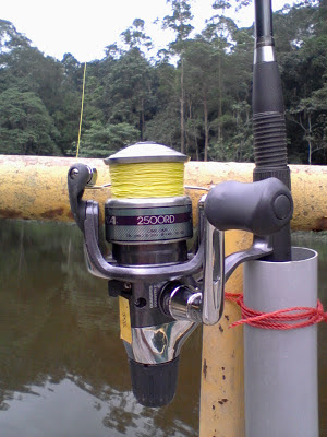 Shimano Sienna FD/RD | THE ANGLERS