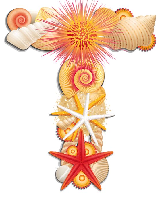 Escuela infantil castillo de Blanca: ALFABETO CON CONCHAS