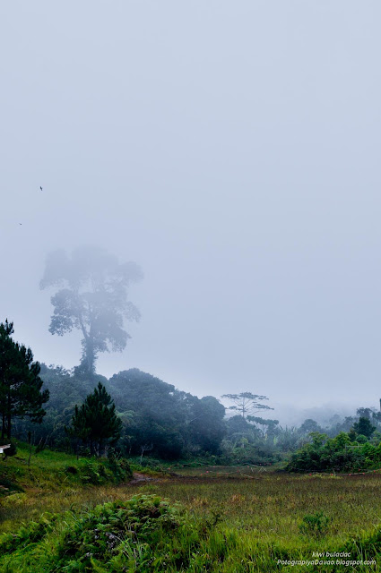 Davao Pictures | Davao Photos - POTOGRAPIYA DABAW