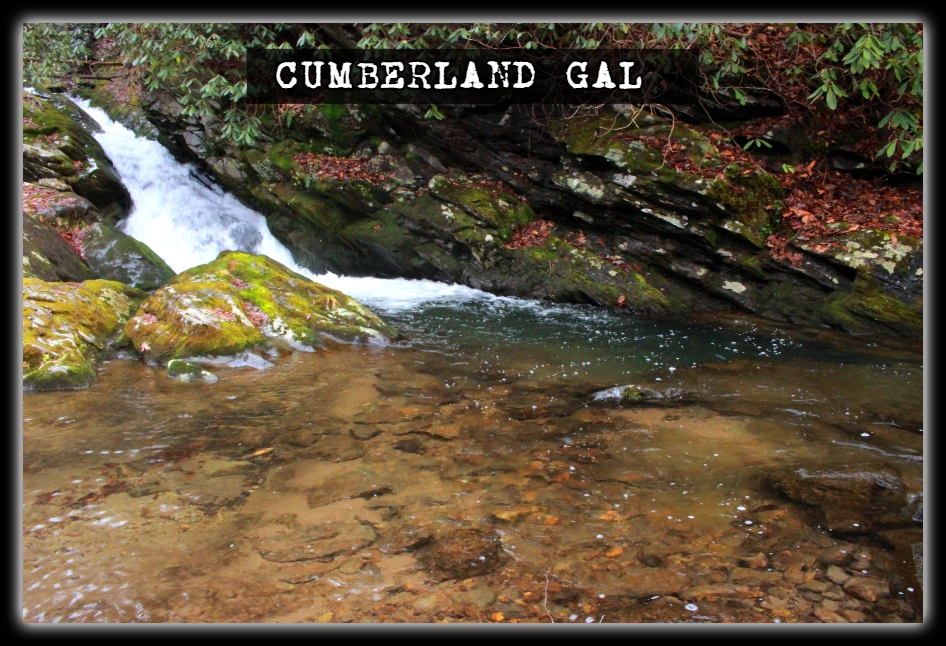 Cumberland Gal: Taking Michael to Nemo Bridge and Tunnel