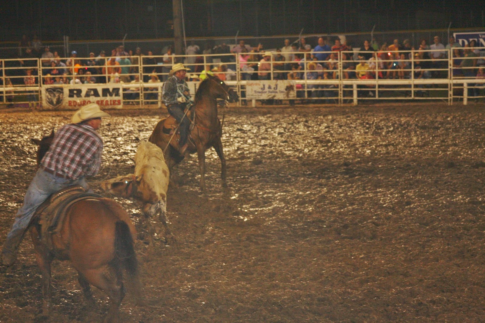 11 Smiths: Rodeo Night