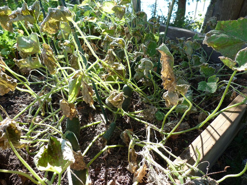 Hodge Podge Lodge: October 2011