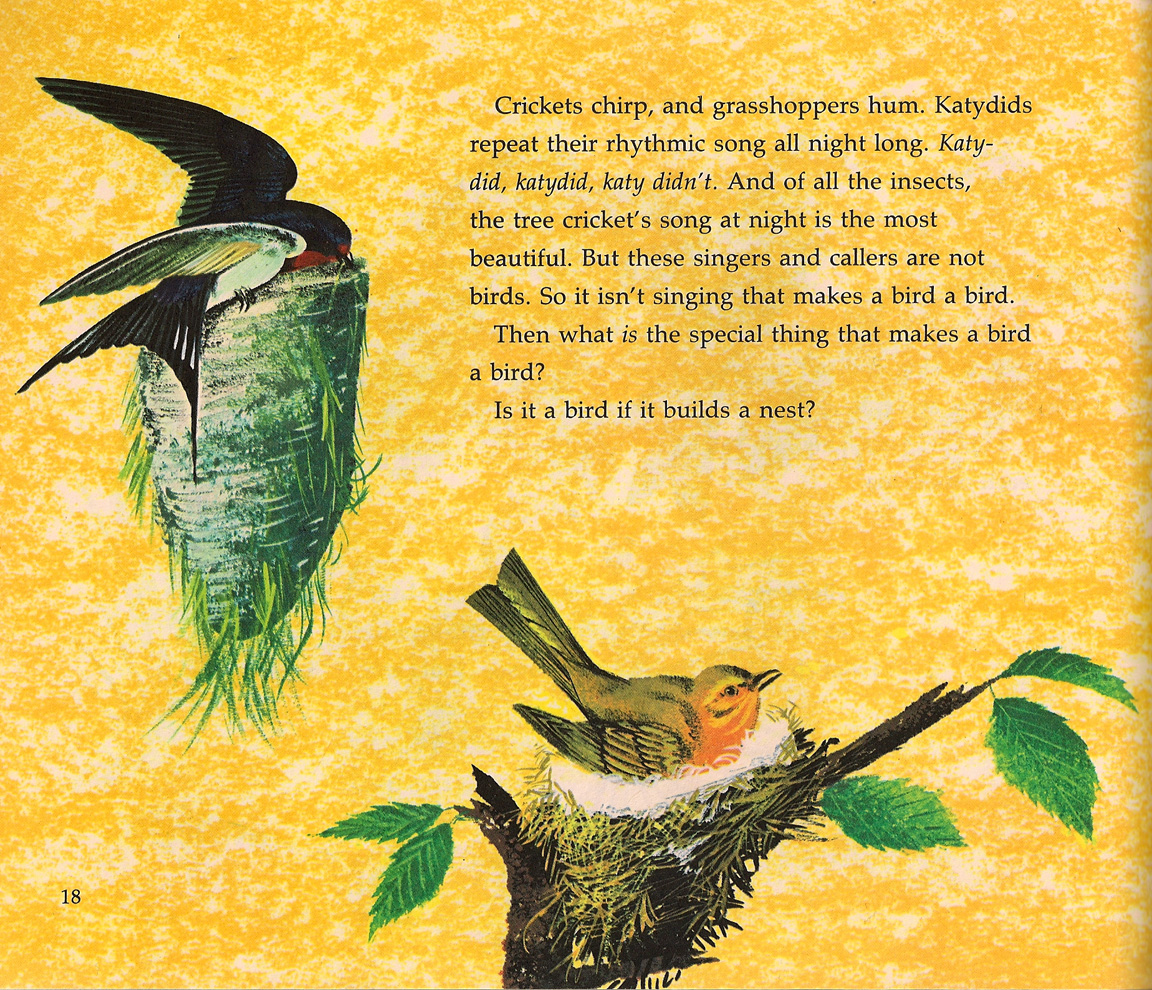 The Art of Children's Picture Books: What Makes a bird A BIRD ...