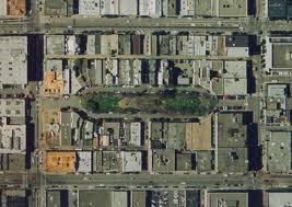 A Swissneese in San Francisco