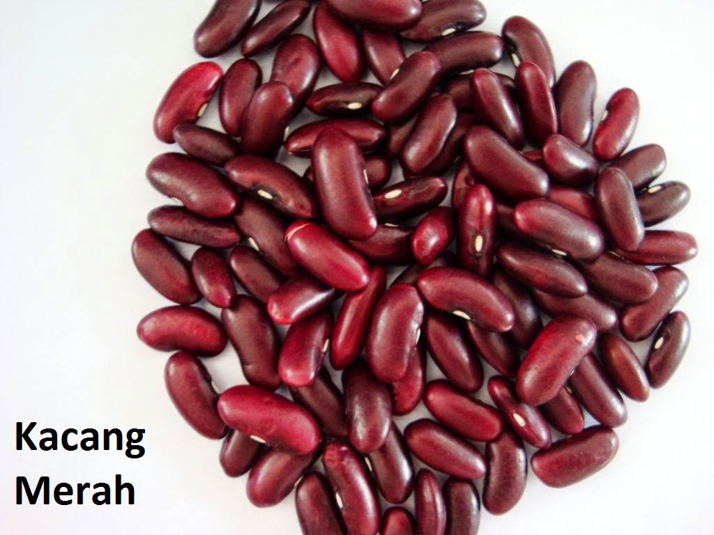 itu aku: makanan berserat